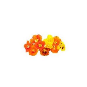 Edible Flower 25 gr per punnet – Compass Fresh
